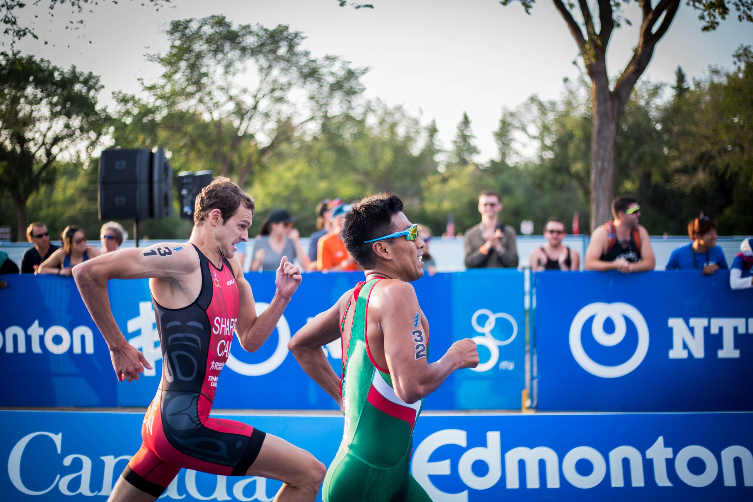 Come pianificare il calendario gare triathlon - ENDU channel